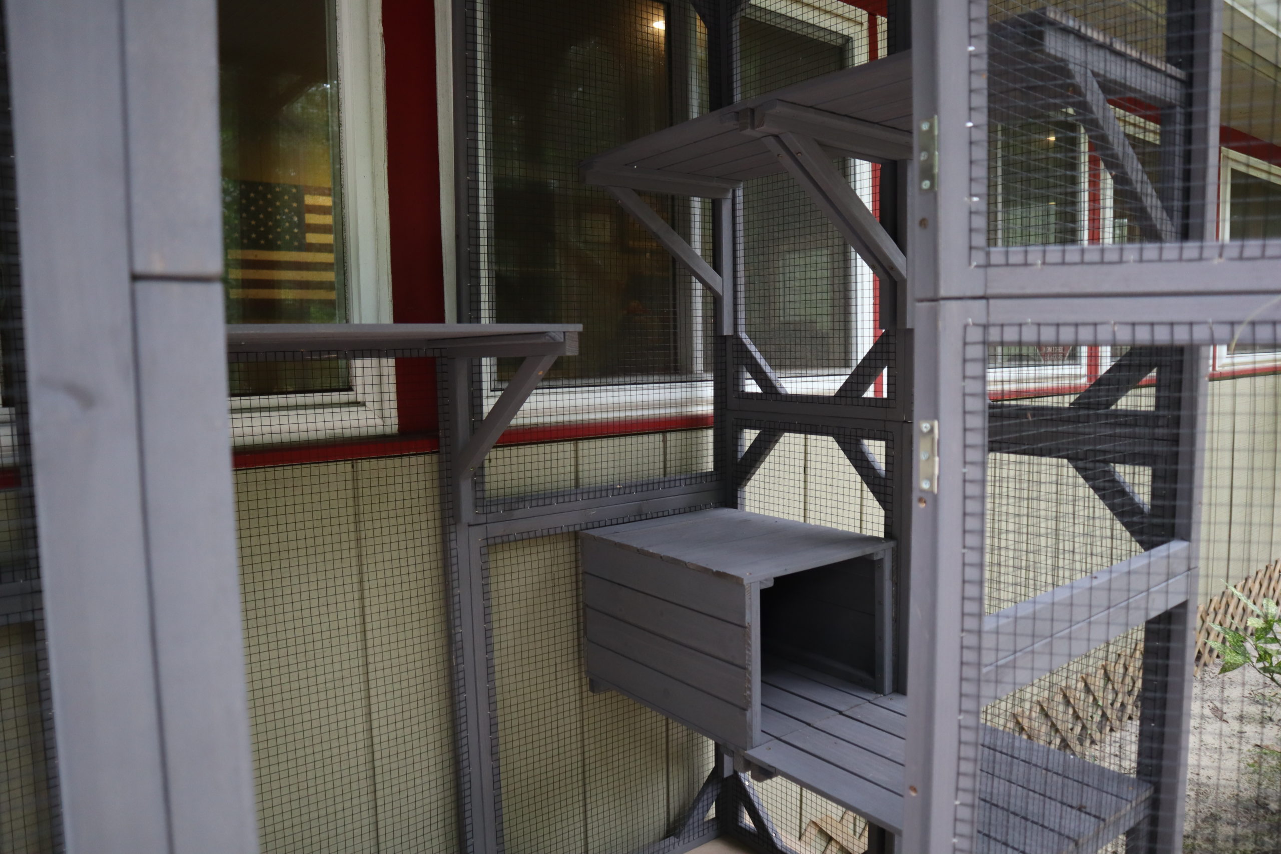 Trying a Prefab Catio | Aivituvin Cat Enclosure Review